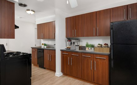 Lakeview Apartments For Rent | Domu Chicago