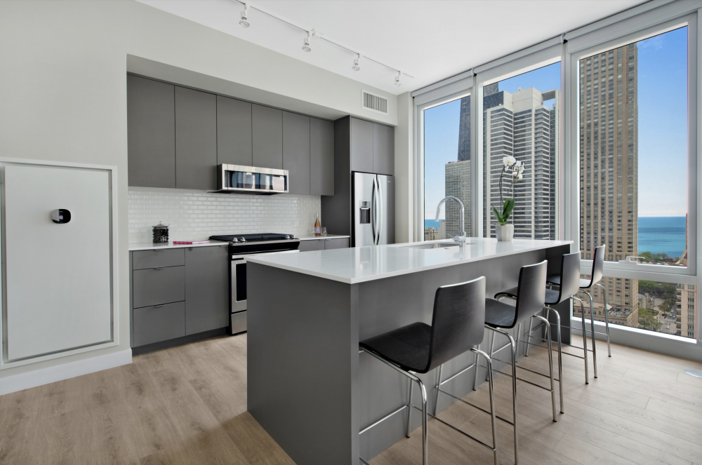 One Chicago Apartments For Rent - Chicago | Domu