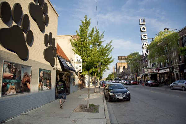 Logan Apartments For Rent - Chicago | Domu